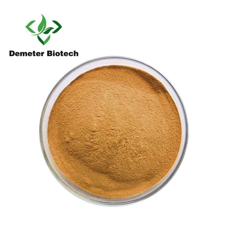 China Natural Liver Protecting Milk Thistle Extract Powder Silymarin 80% manufacturers and ...